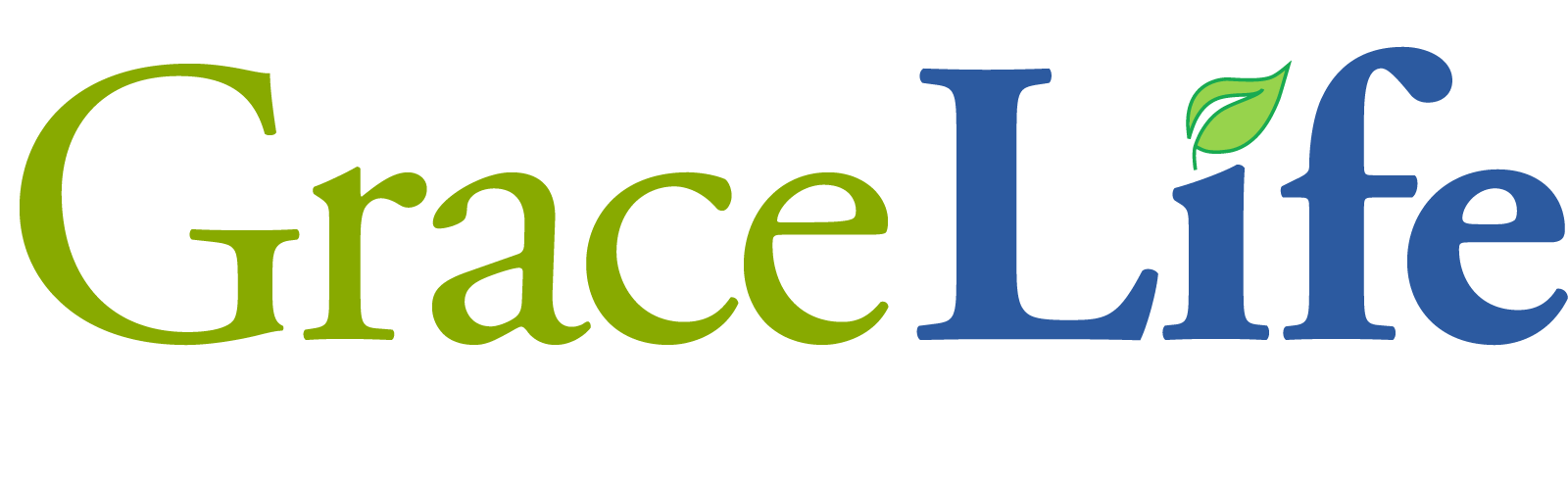 Adult Fellowship Groups - Grace Bible Church
